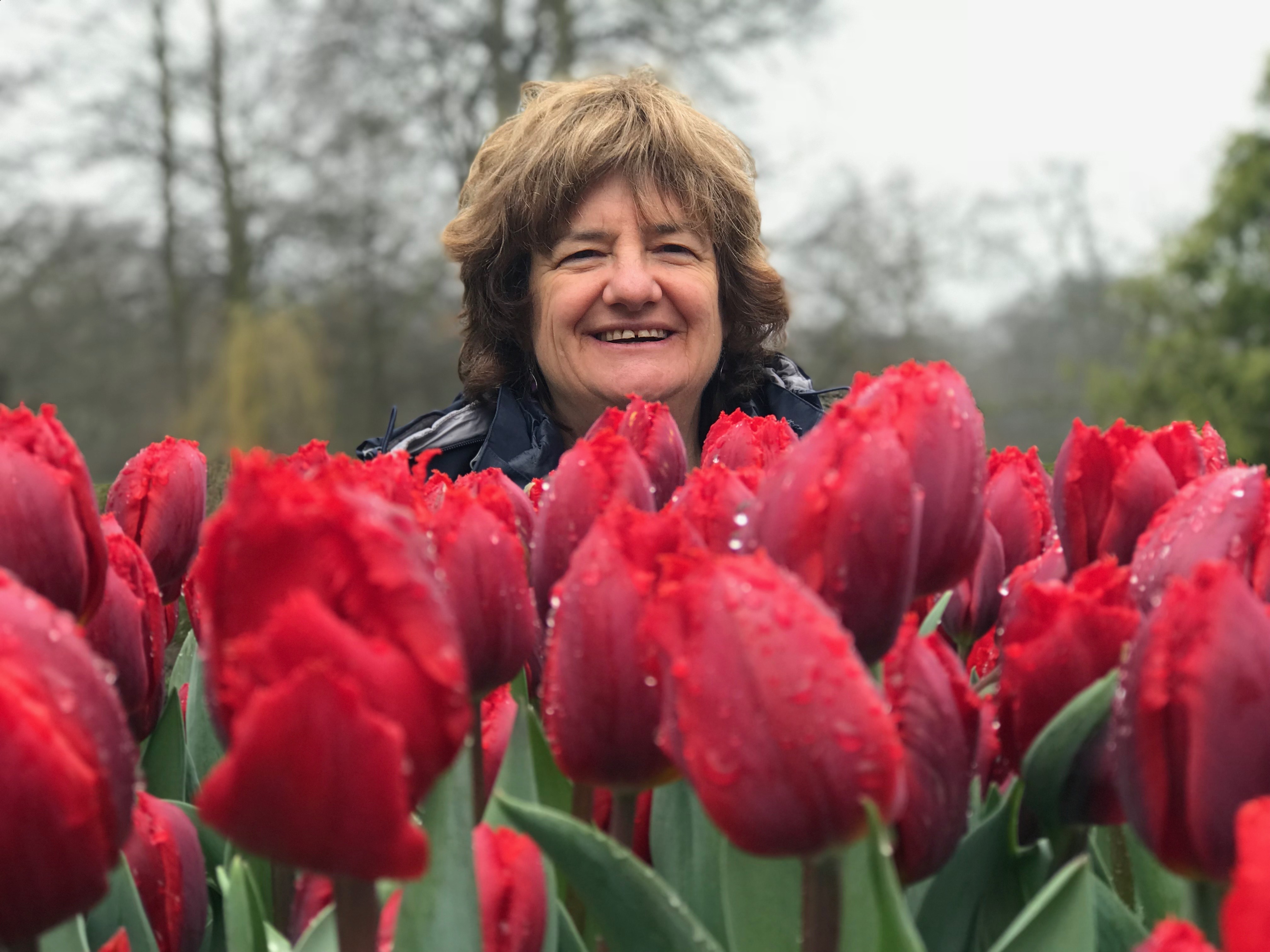 Amazon.com: Stephanie M. Foster PhD OTR/L RYT: books, biography, latest ...