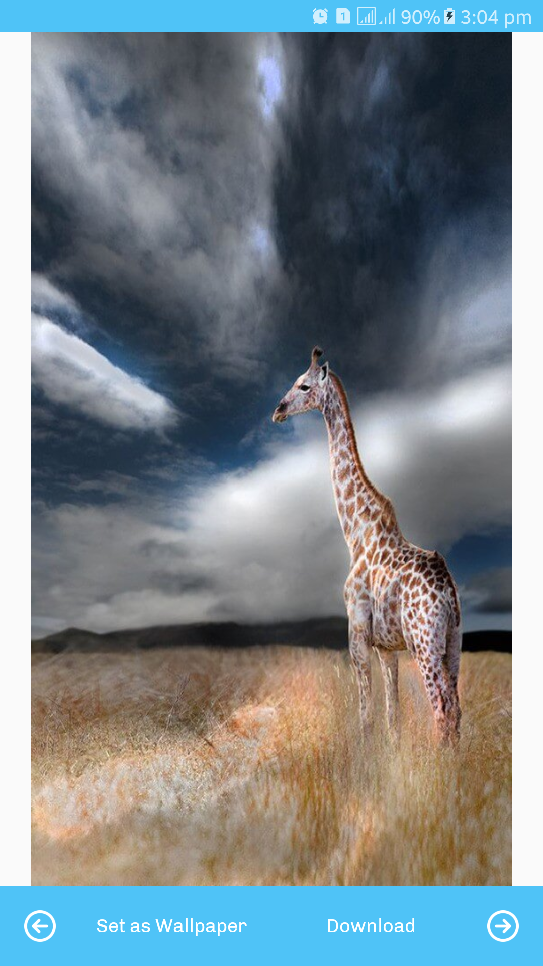 Giraffe Wallpapers - App on Amazon Appstore