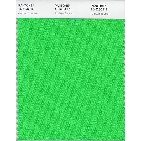 Pantone 16-6230 Nylon Brights Color Swatch Card - House Paint - Amazon.com