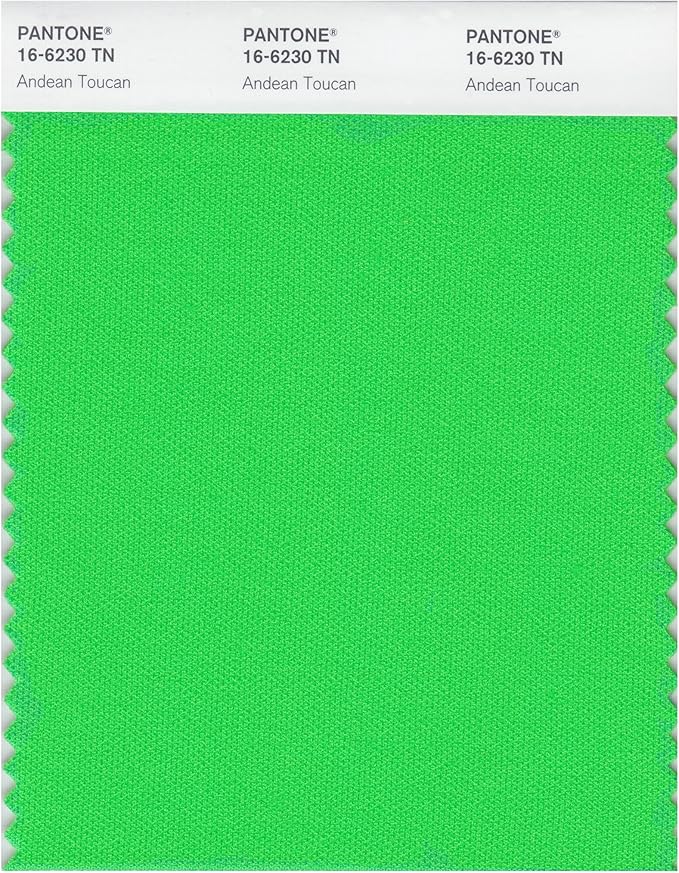 Pantone 16-6230 Nylon Brights Color Swatch Card, House Paint - Amazon ...