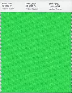 Pantone 16-6230 Nylon Brights Color Swatch Card - House Paint - Amazon.com