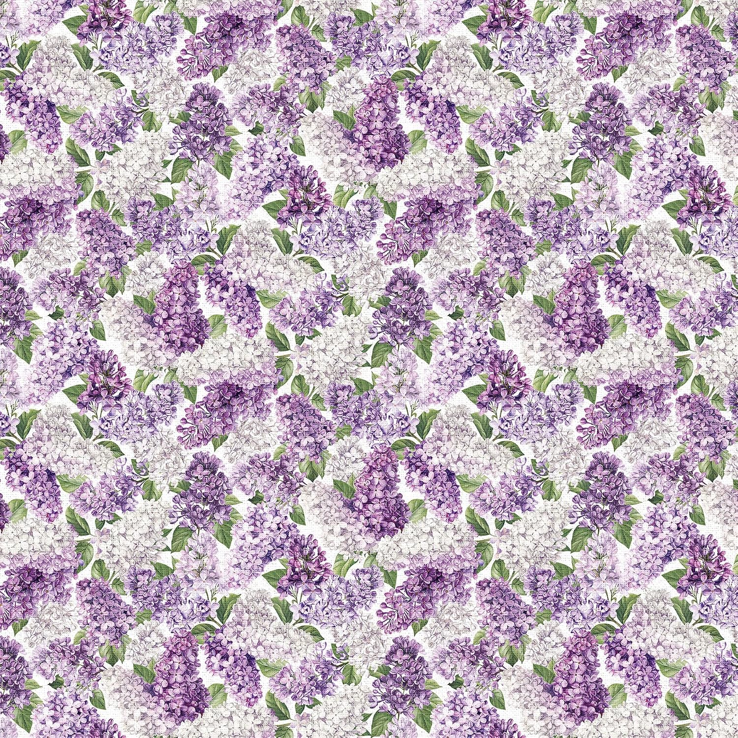 Amazon.com: Beautiful, Floral Fabric, Purple and White Lilacs, Allover ...