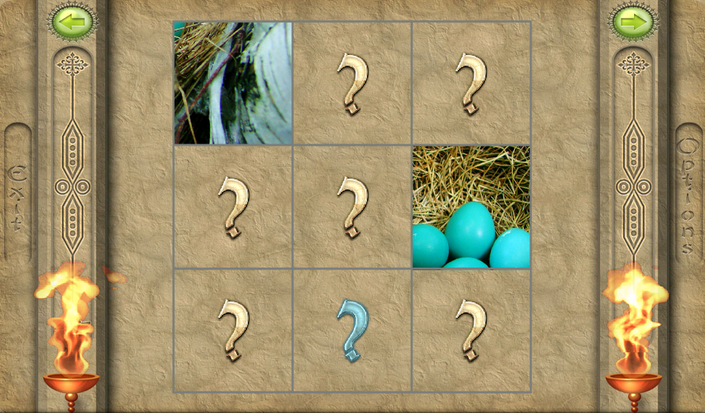 FlipPix Jigsaw - Nesting - App on Amazon Appstore