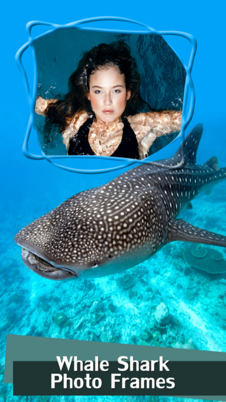 Whale Shark Photo Frames - App on Amazon Appstore