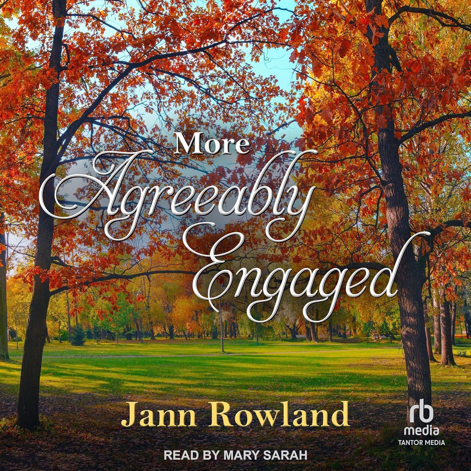 Amazon.com: More Agreeably Engaged (Audible Audio Edition): Jann Rowland, Mary Sarah, Tantor ...