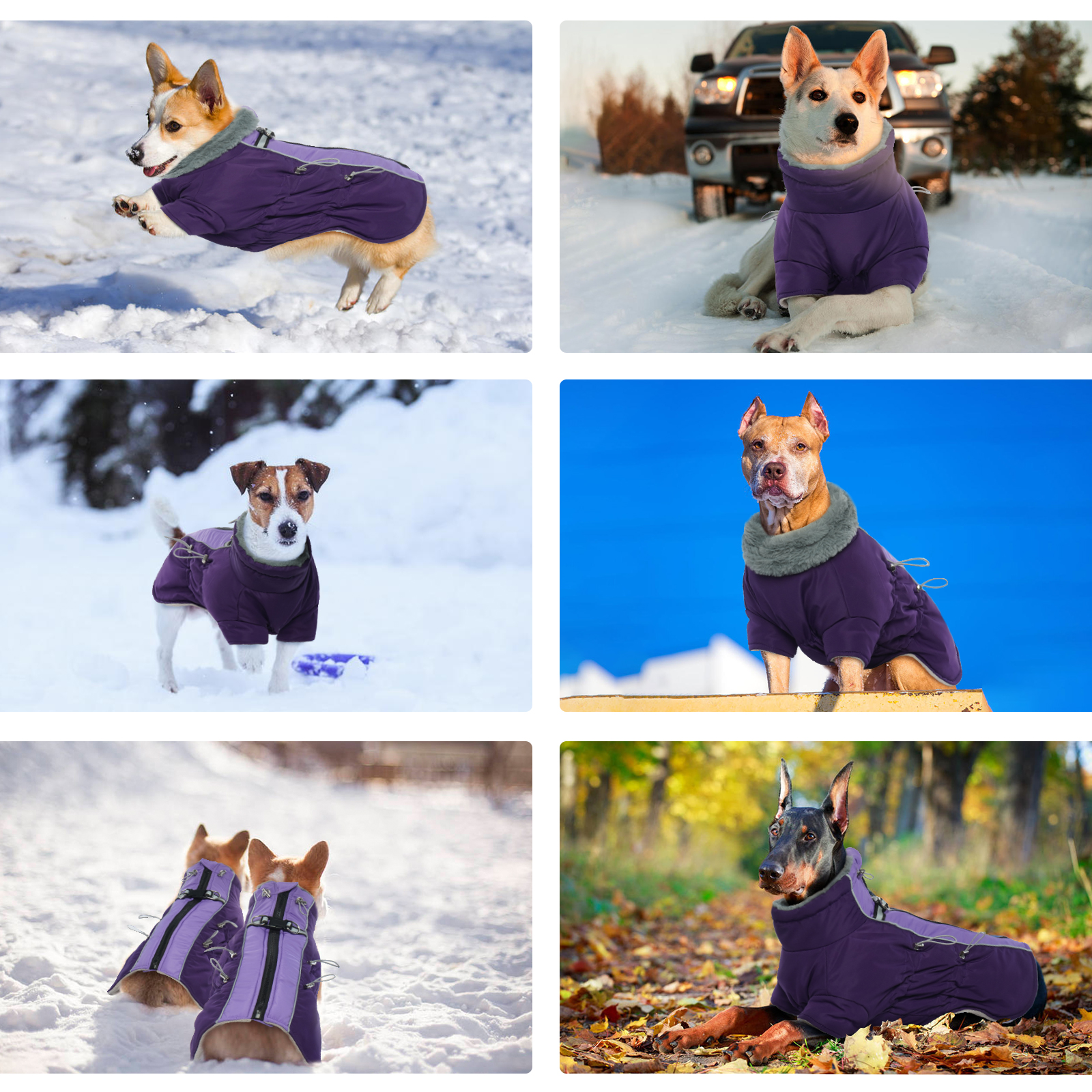 Watch IDOMIK Waterproof Dog Winter Coat Warm Cold Weather Jacket on ...