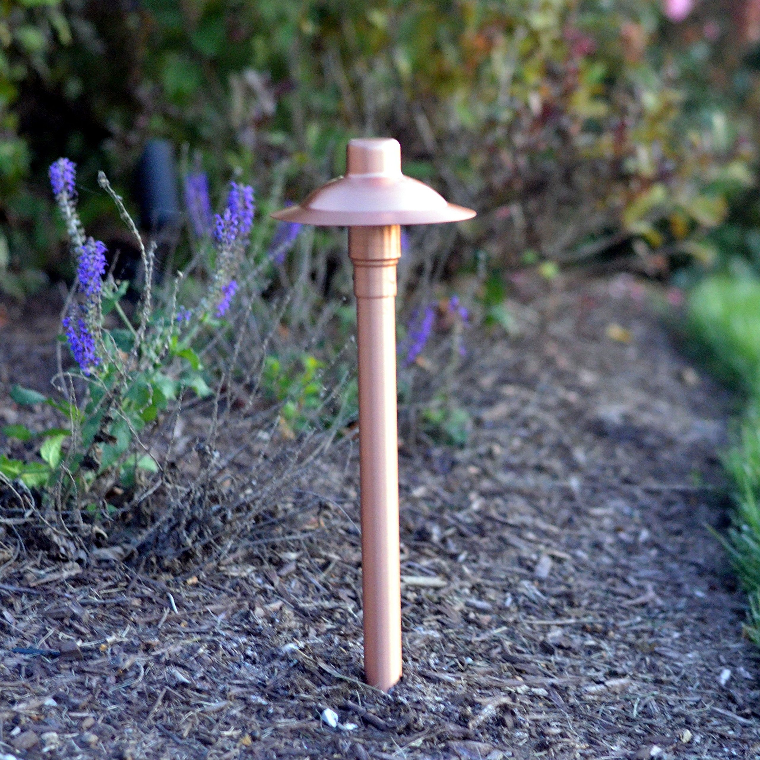 Hammered Copper Landscape Lighting