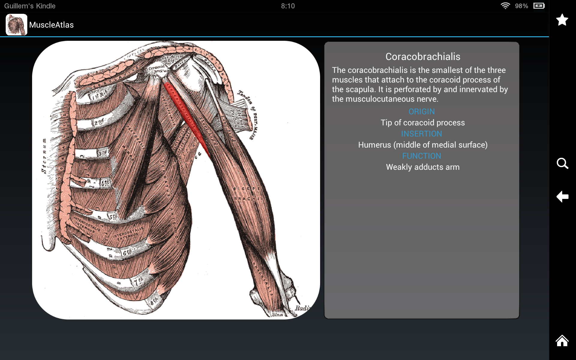 Anatomy: Atlas of Muscles - App on Amazon Appstore