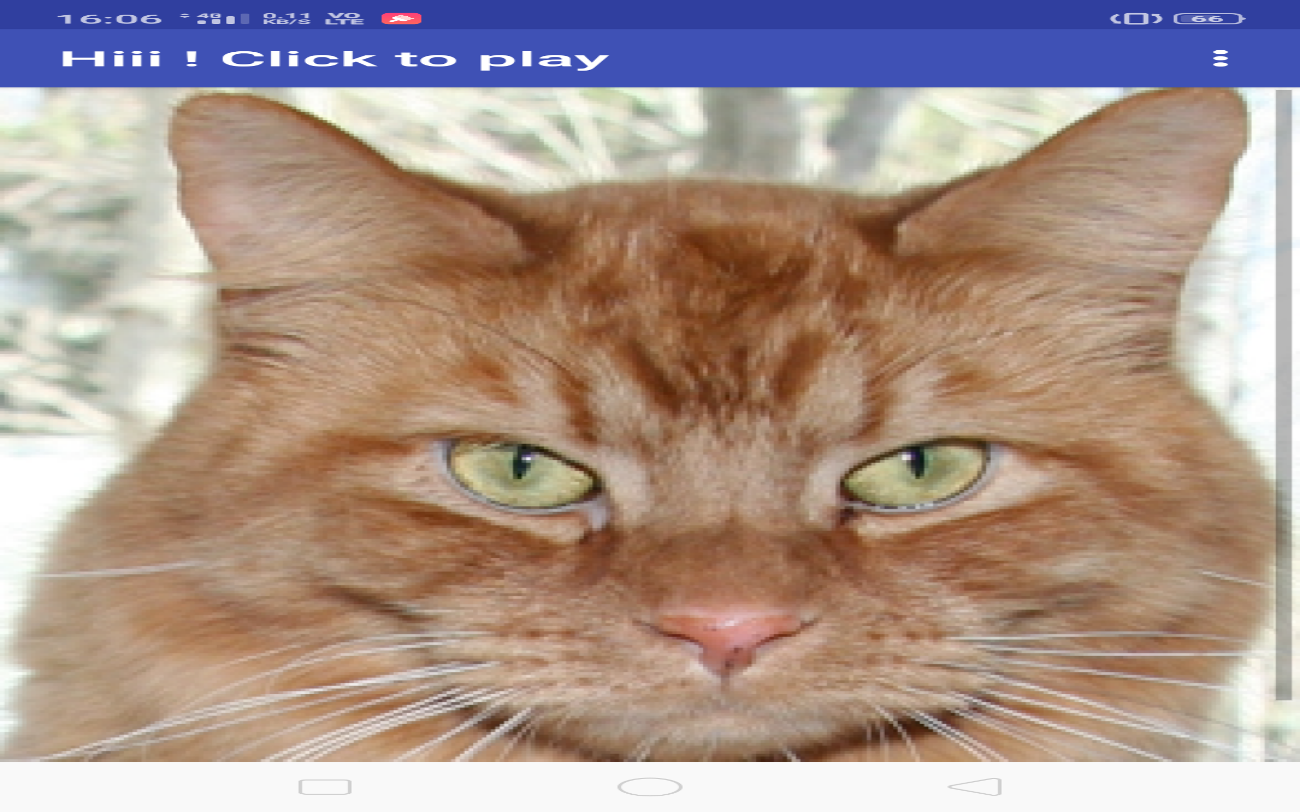 Hello pets - App on Amazon Appstore