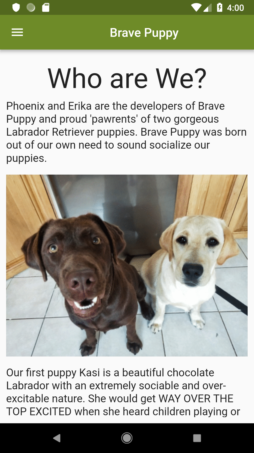 Brave Puppy - App on Amazon Appstore