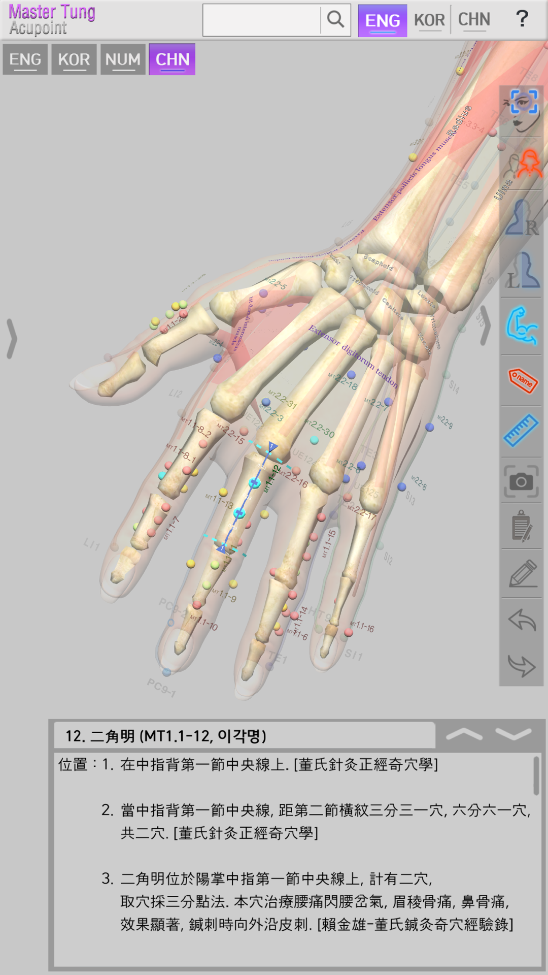 Master Tung Acupoint - App on Amazon Appstore