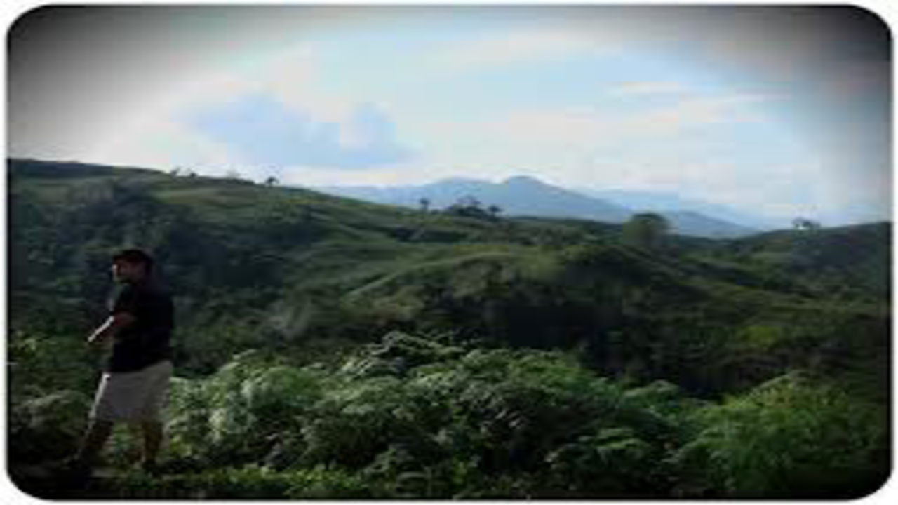 The Global Dispatch - App on Amazon Appstore