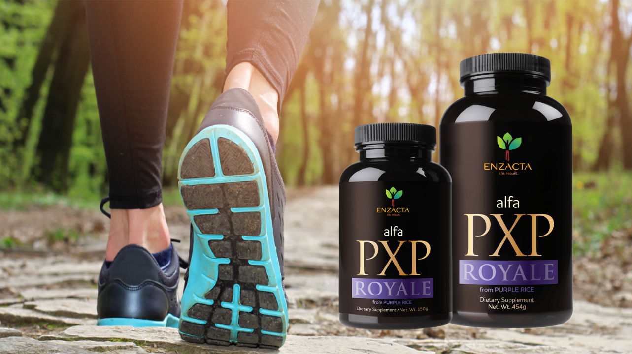 Watch Alfa PXP Royale by Enzacta on Amazon Live