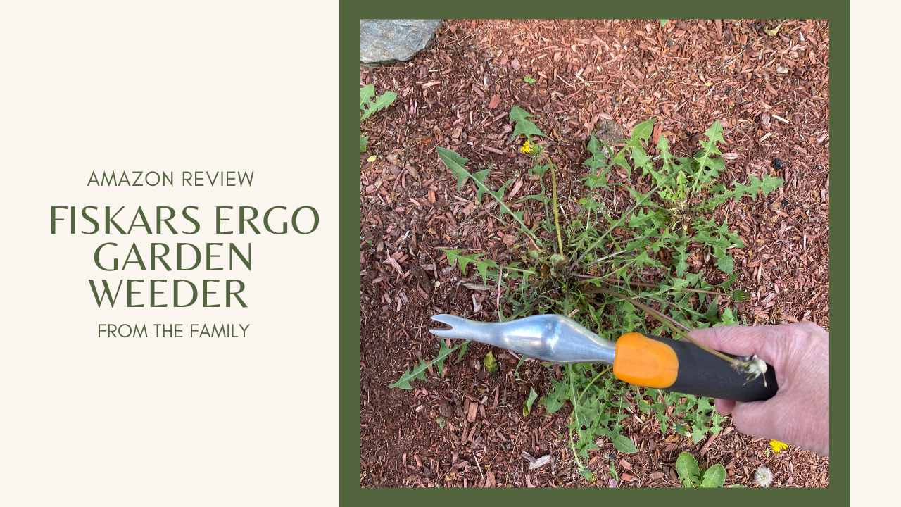 Watch Fiskars Ergo Garden Weeder Tool Review on Amazon Live