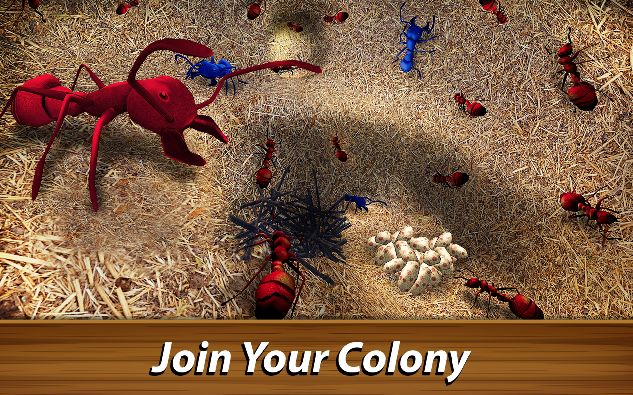 World of Ants: American Bug Survival Simulator - App on the Amazon Appstore