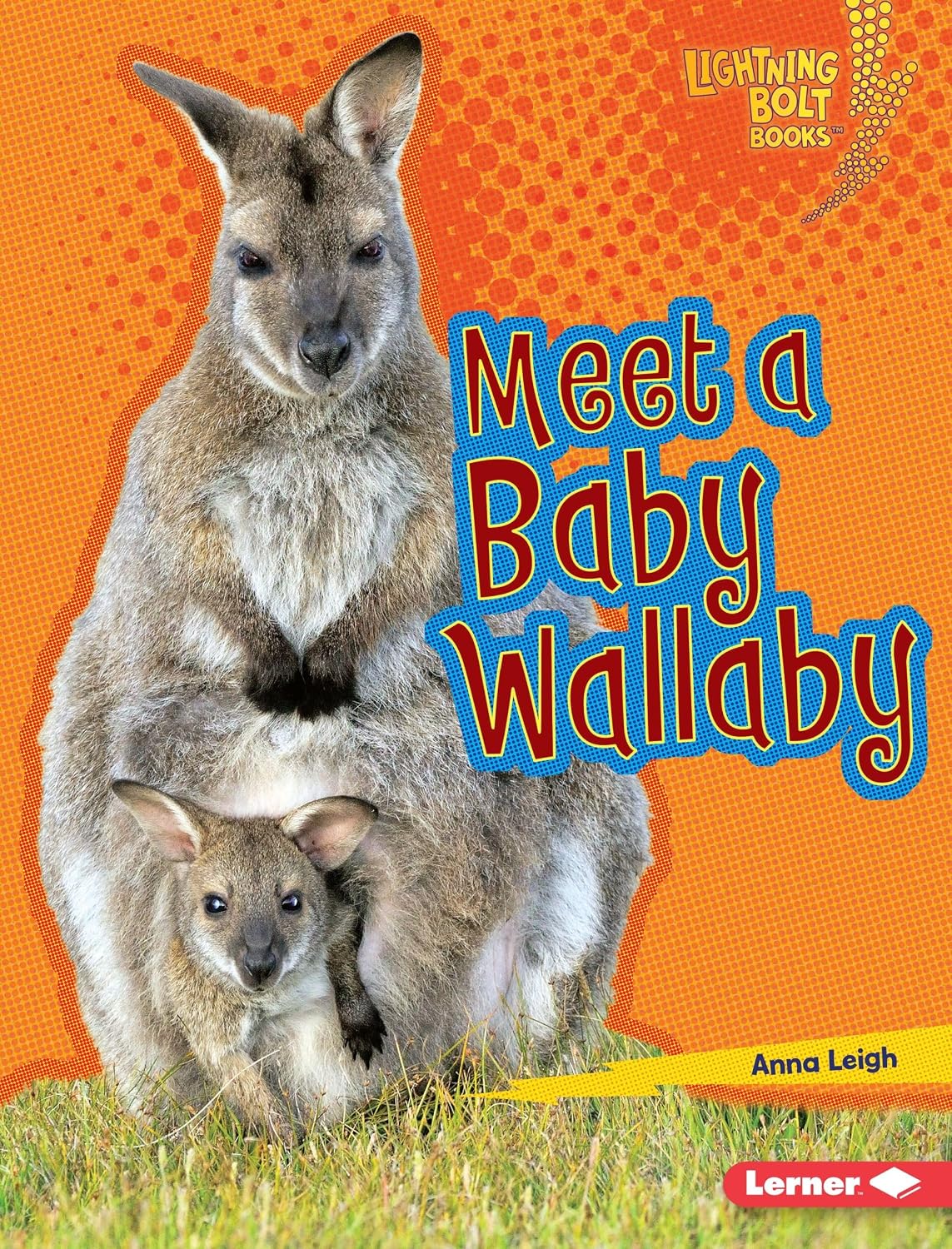 Meet a Baby Wallaby (Lightning Bolt Books ® ― Baby Australian Animals ...