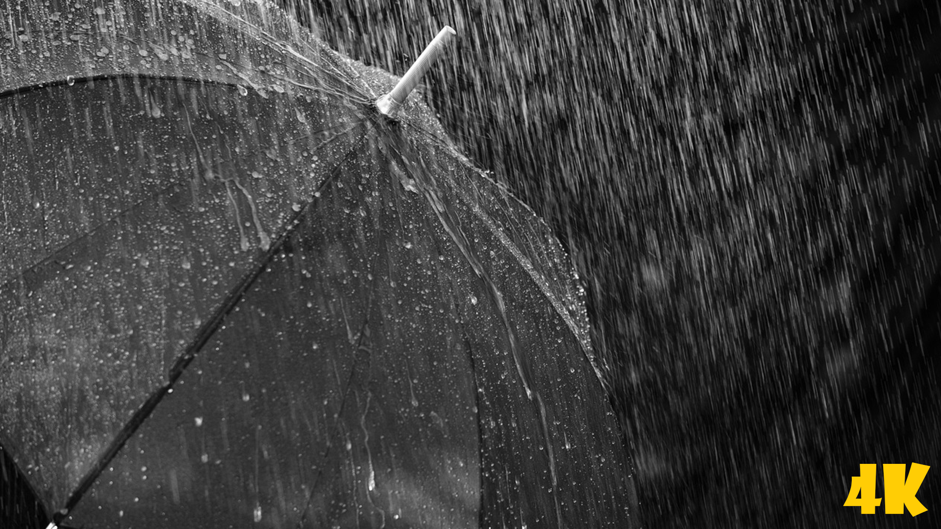 Rain Screensaver - App on Amazon Appstore
