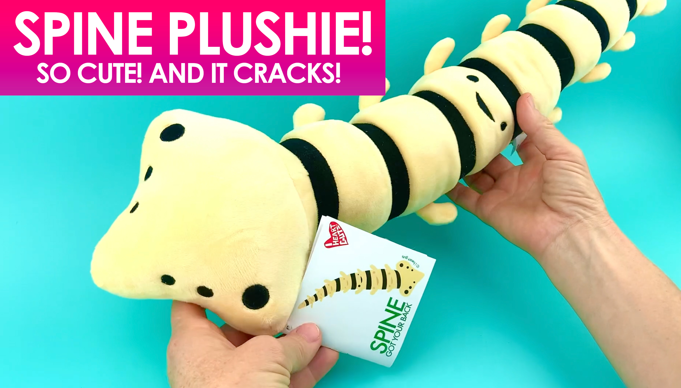 Watch Spine Anatomy Plushie - Cute Plush Backbone with Back Facts! on ...