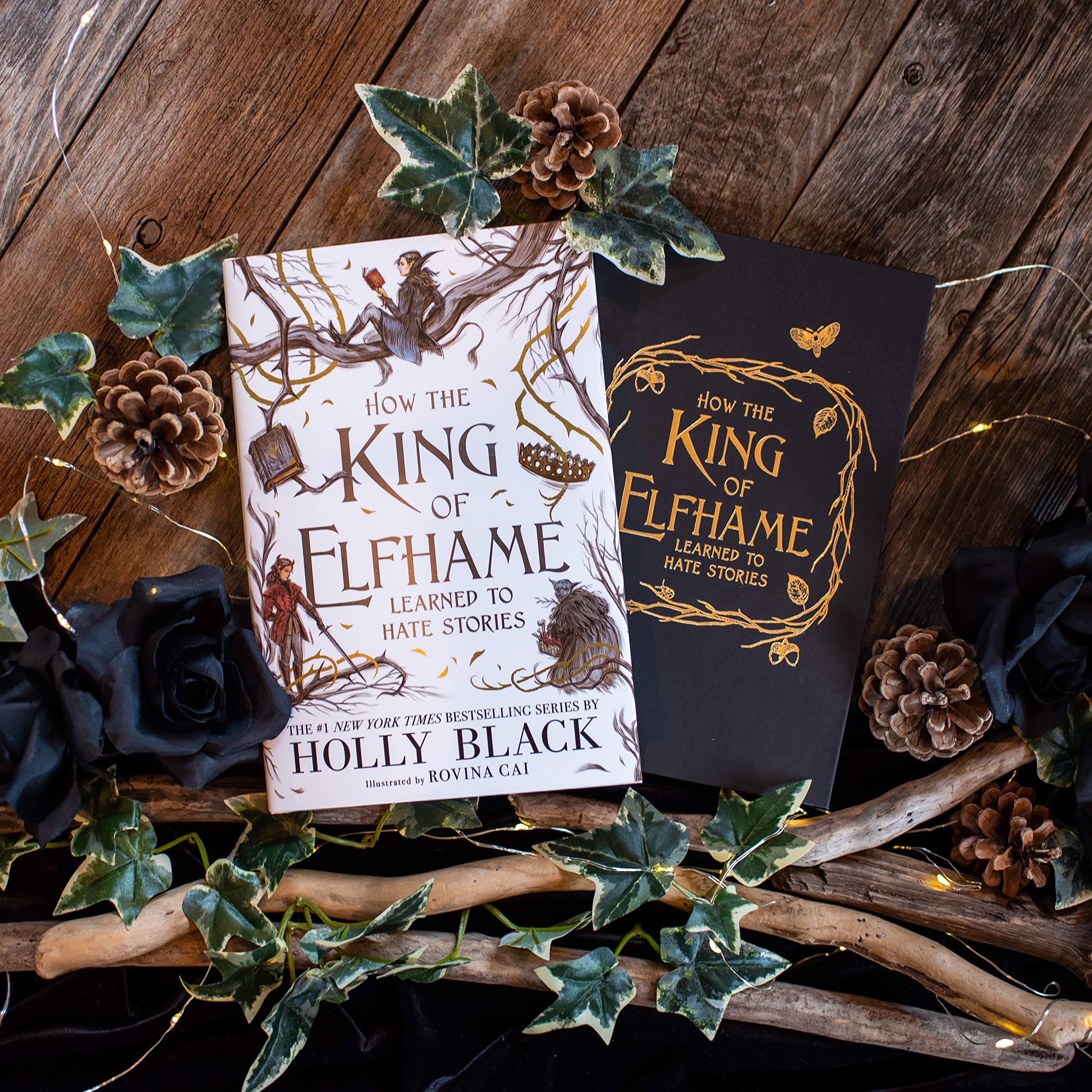 Snapklik.com : How The King Of Elfhame Learned To Hate Stories