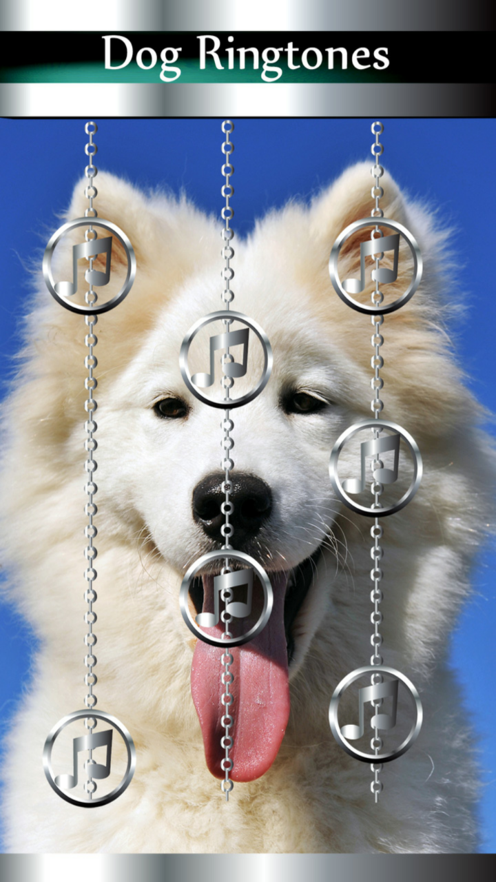 Dog Ringtones - App on Amazon Appstore