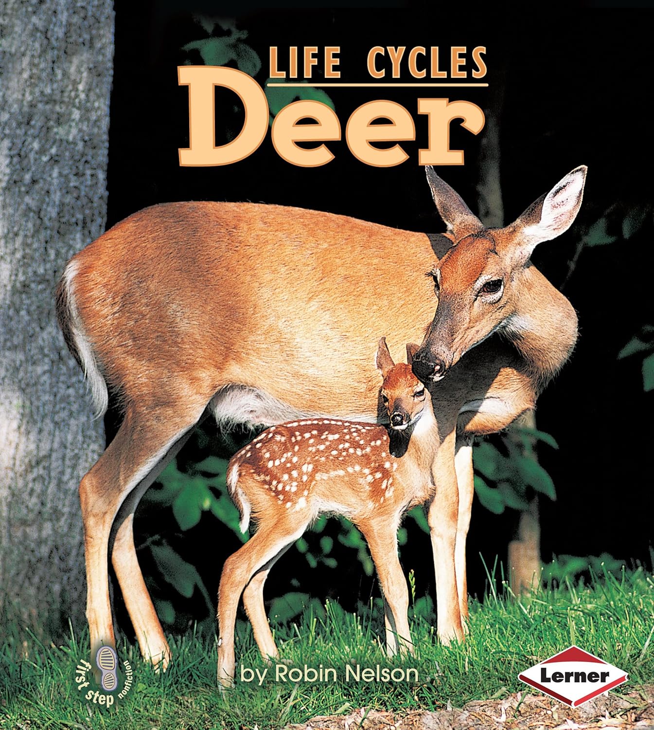 Deer (First Step Nonfiction ― Animal Life Cycles): Nelson, Robin ...