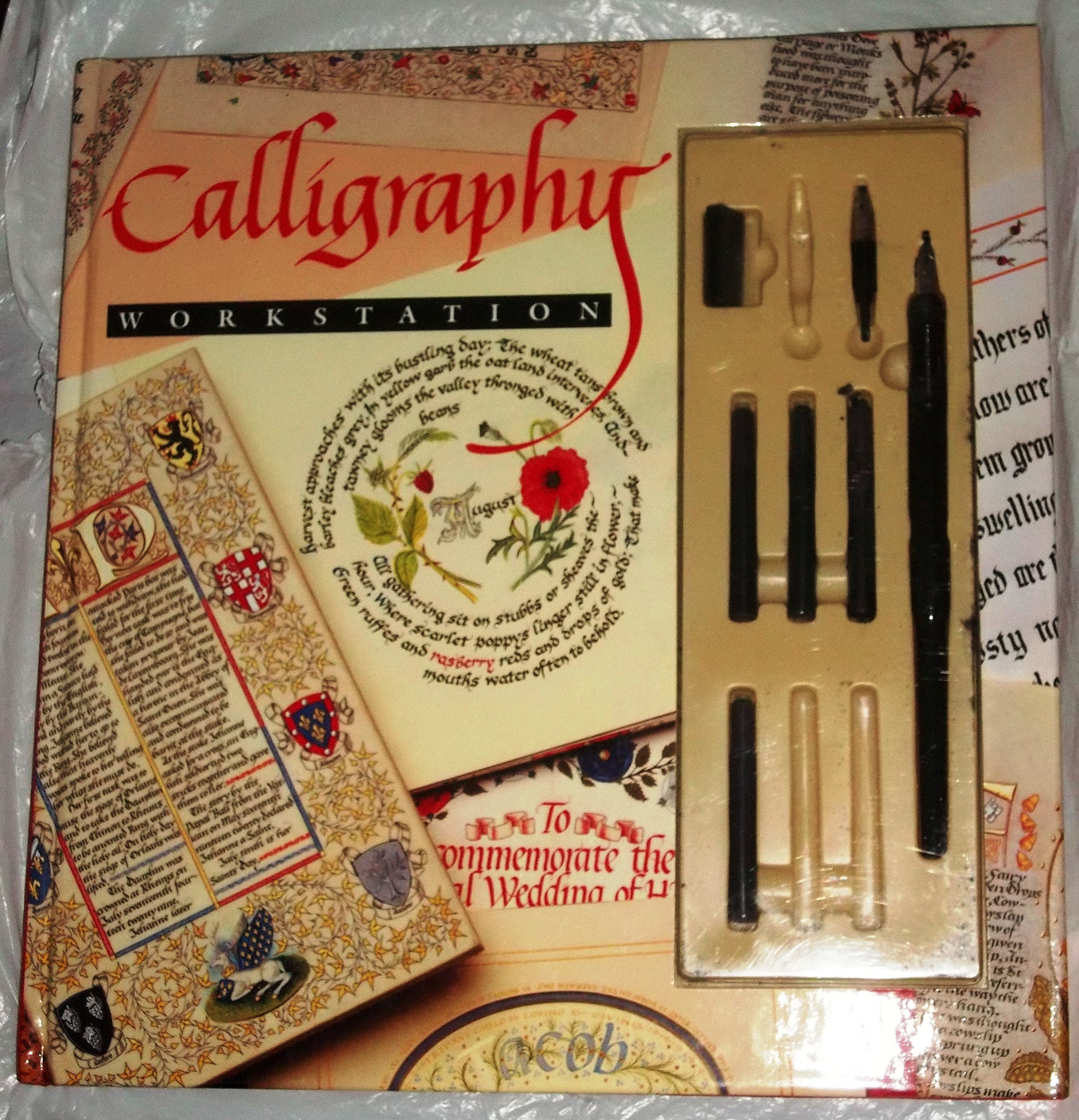 Calligraphy workstation (Workstations): Hanson, Manda: 9780843136647 ...