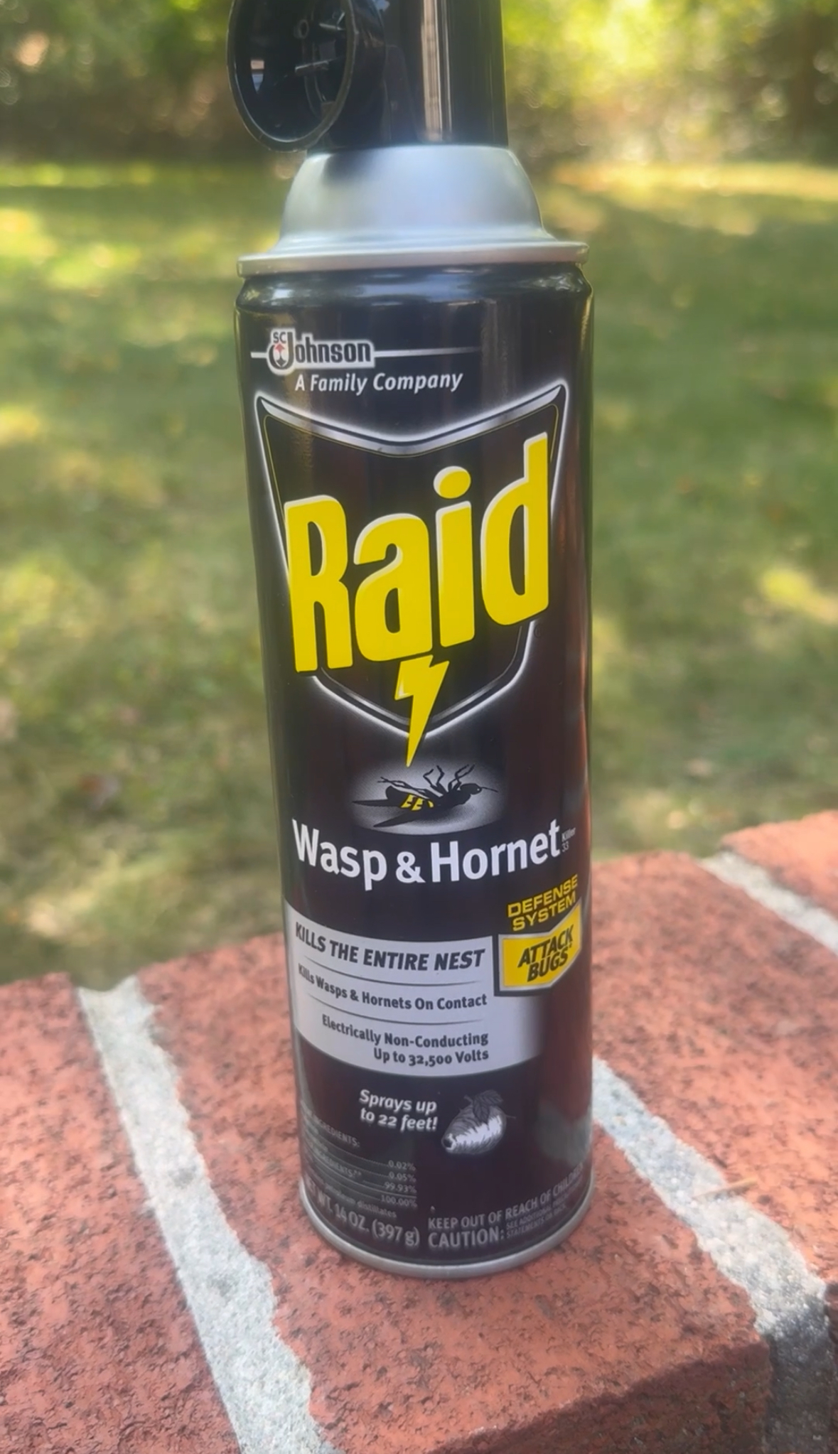 Watch Very Effective! Raid Wasp & Hornet Killer Spray on Amazon Live