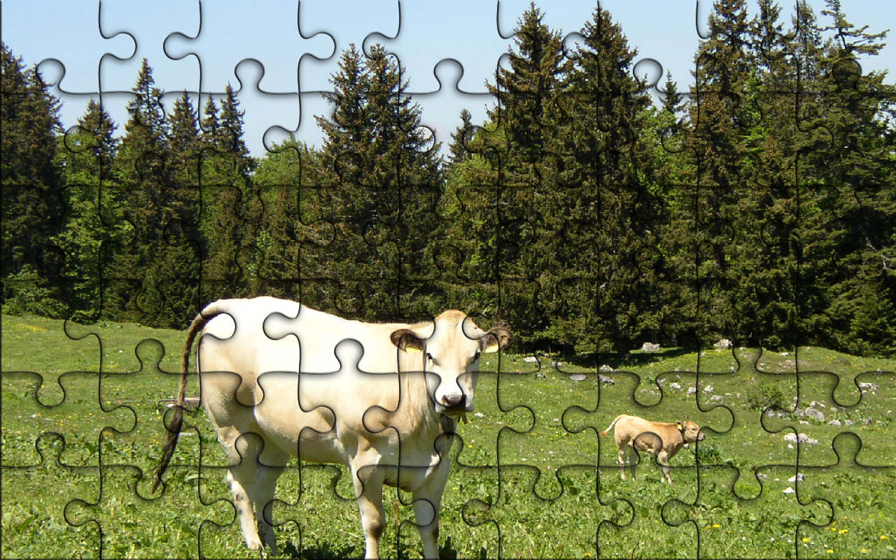 JisPuz - jigsaw puzzles free game - App on Amazon Appstore
