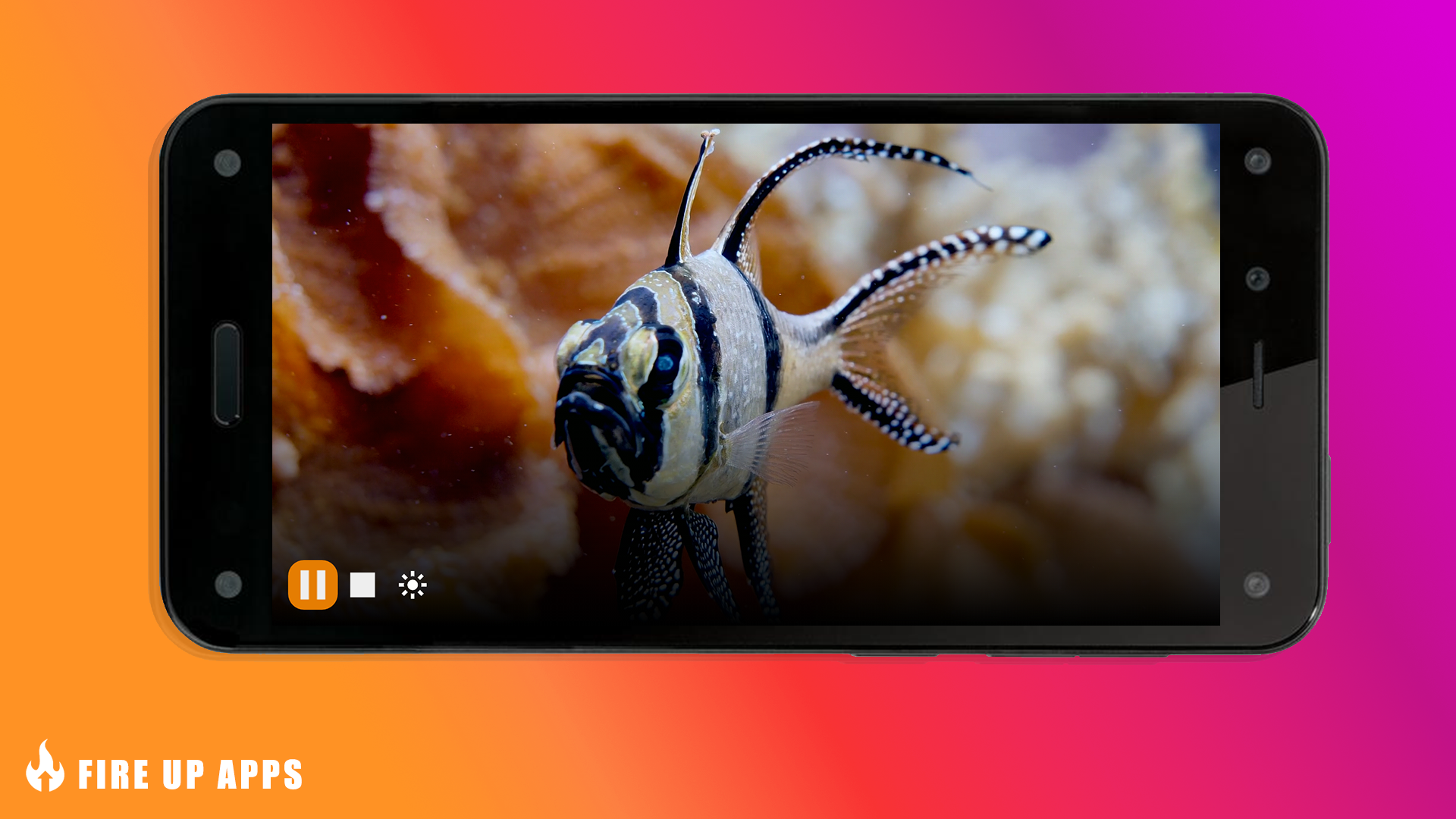 Underwater Wonders : Aquarium ambience & Relaxing Coral Reef Fish | HD 4K Videos Screensaver for ...