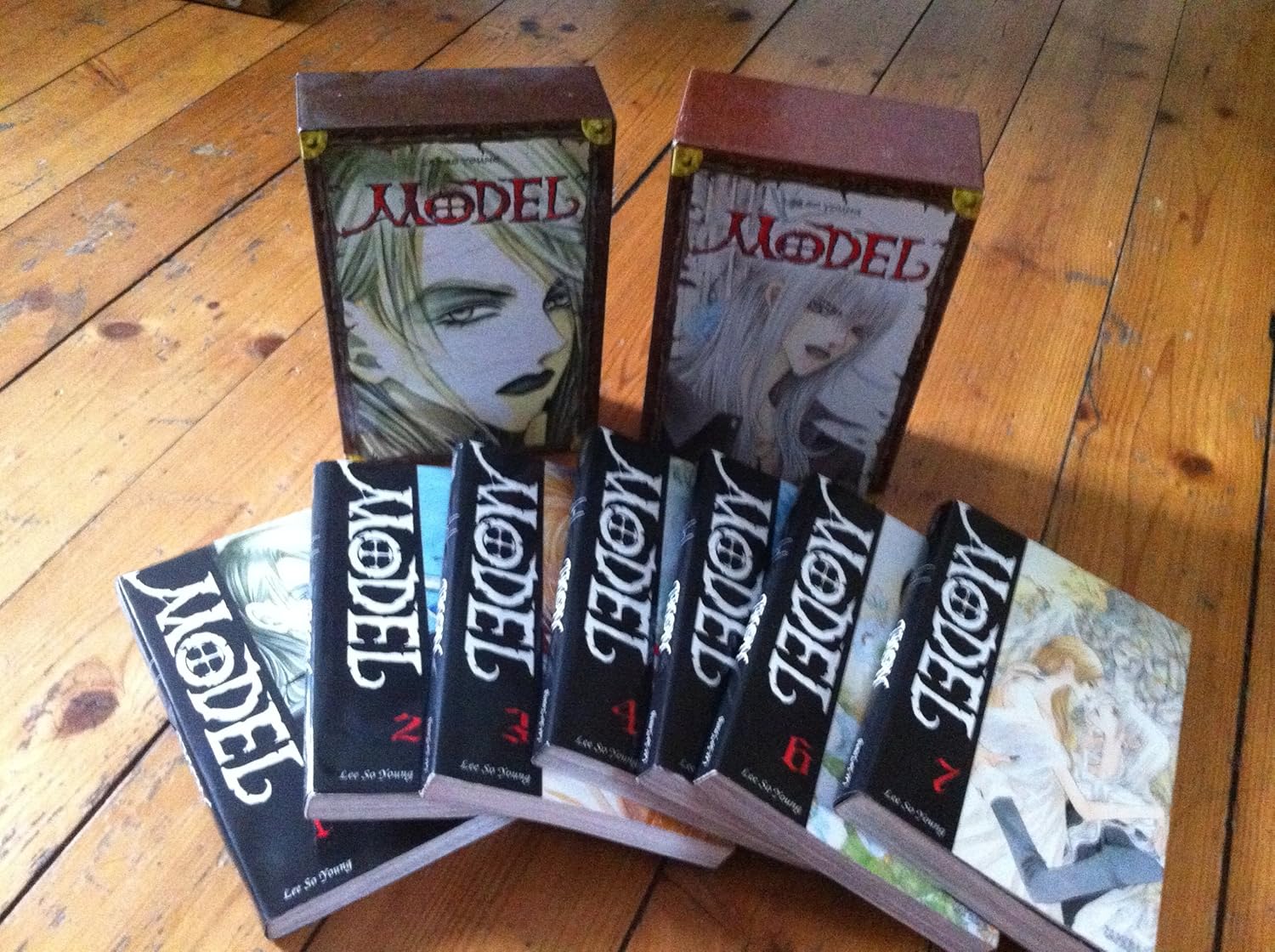 Amazon.com: Model, tome 1: 9782752200006: So-Young Lee: Books