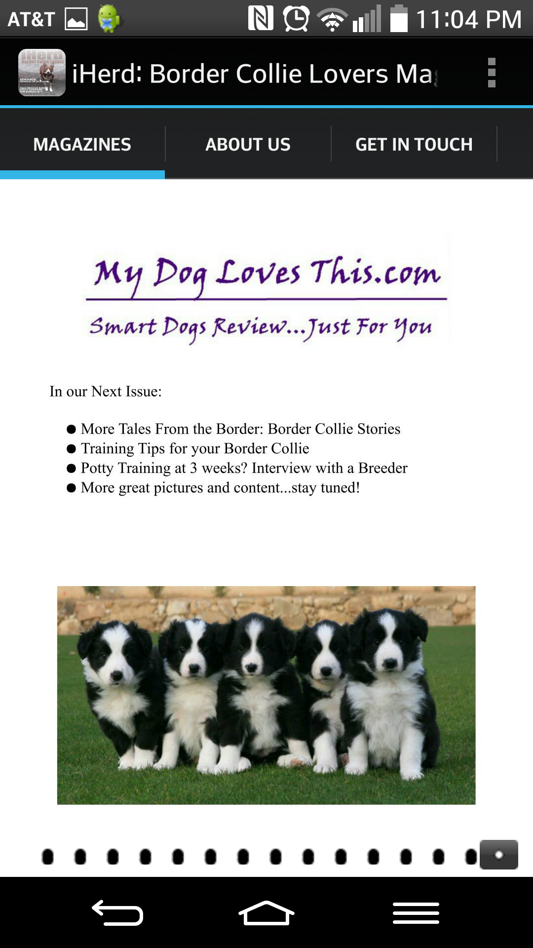 iHerd:Border Collie Lovers magazine:Amazon.com:Appstore for Android