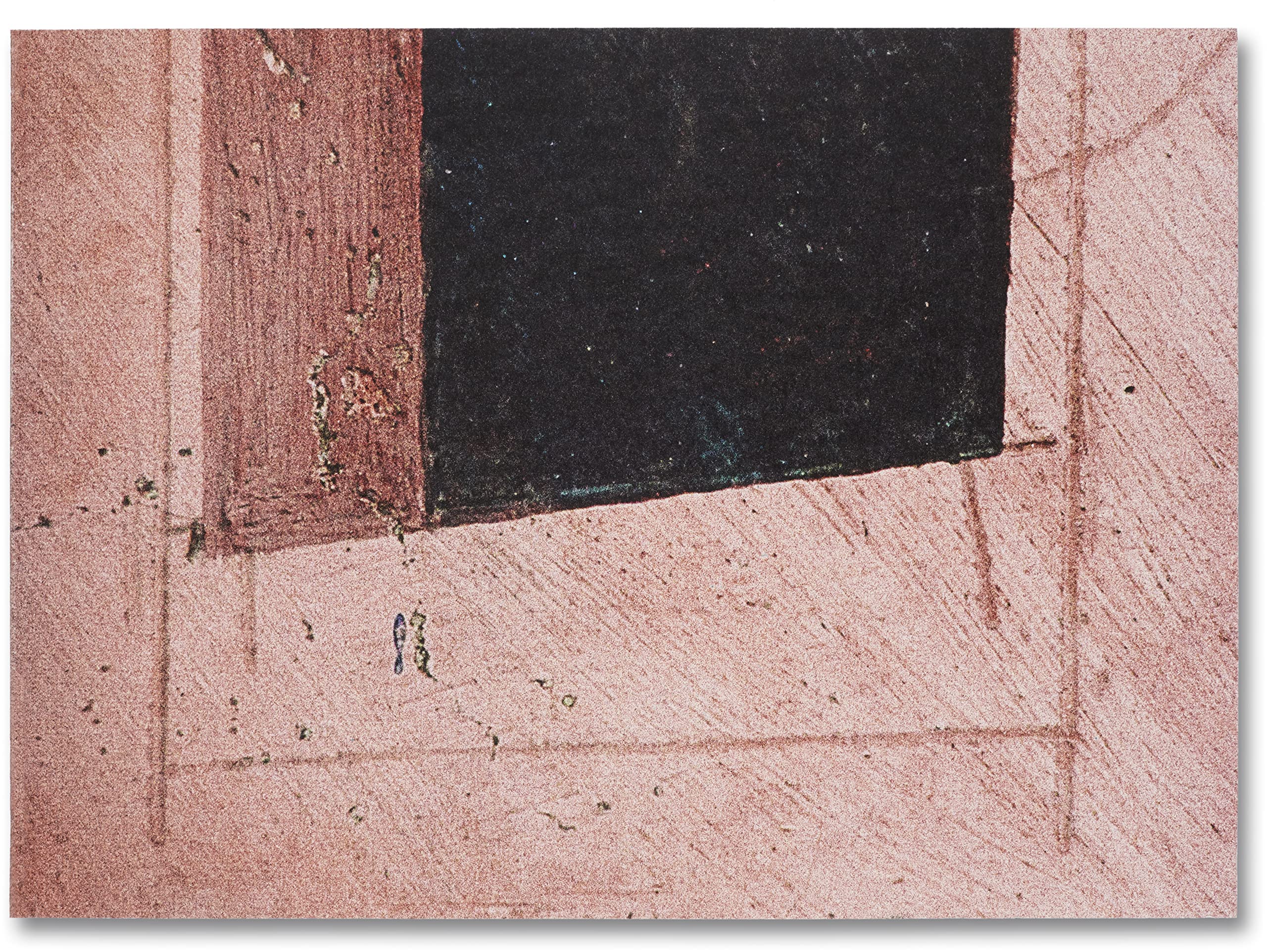 Buon Fresco: Dean, Tacita: 9781910164280: Amazon.com: Books