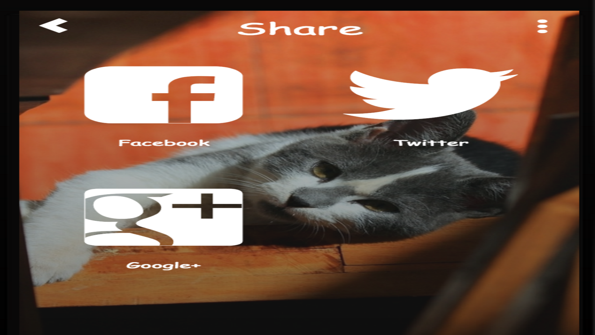 Cuddle Buddy Pets - App on Amazon Appstore