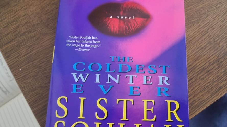 Coldest Winter Ever Book