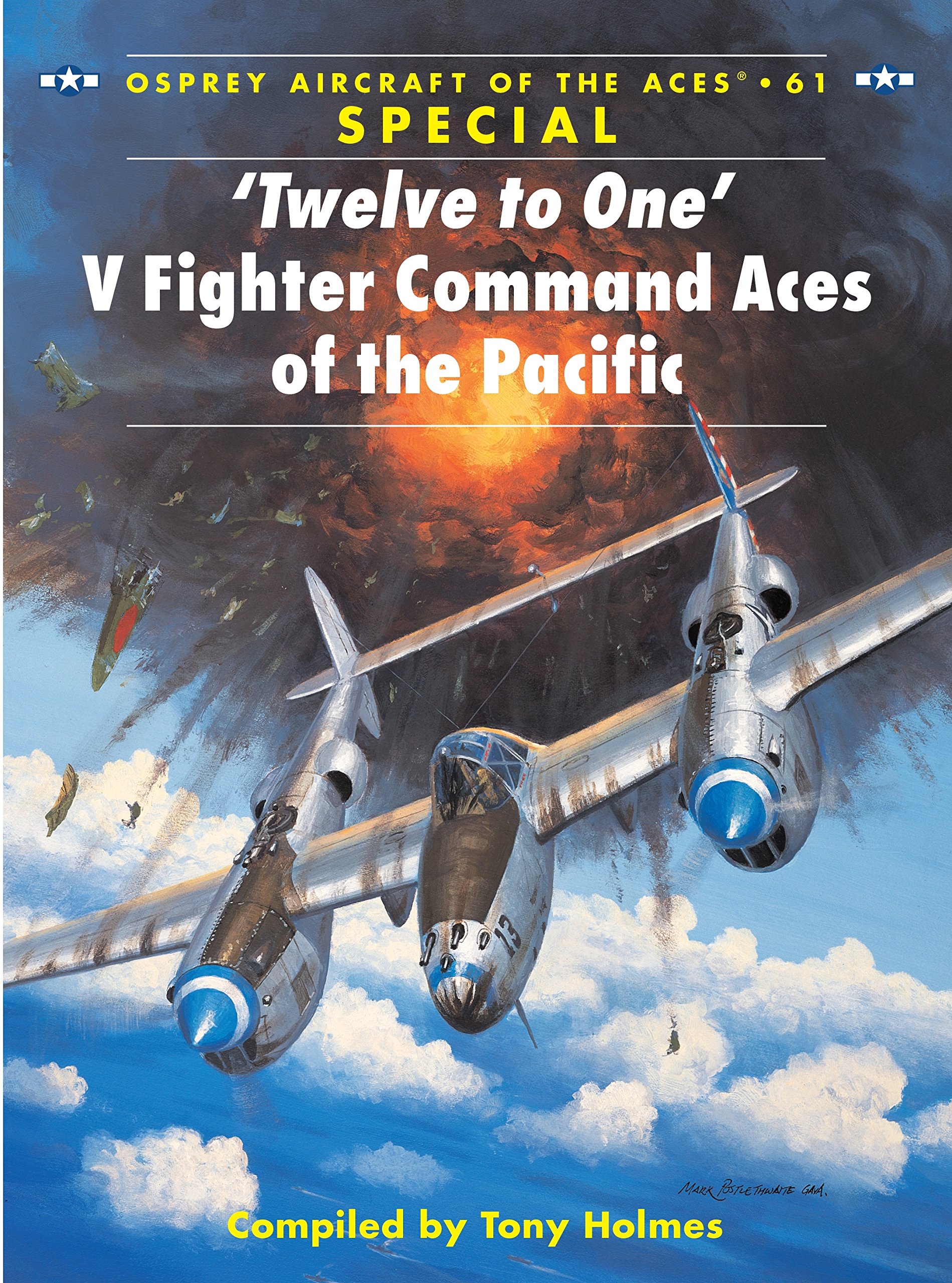 ‘Twelve to One’ V Fighter Command Aces of the Pacific (Aircraft of the ...