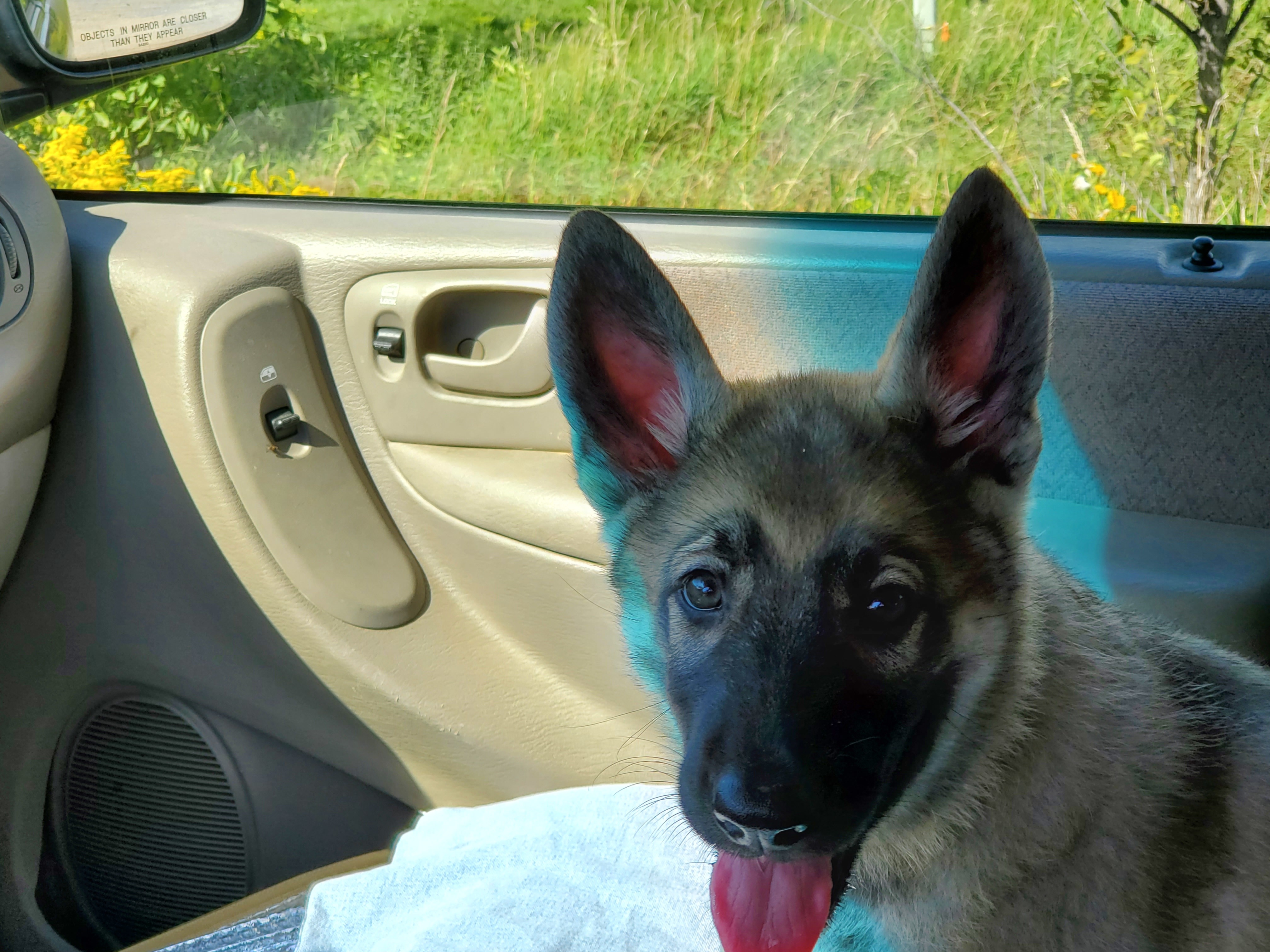 Amazon.co.uk: S.R. Russell: books, biography, latest update