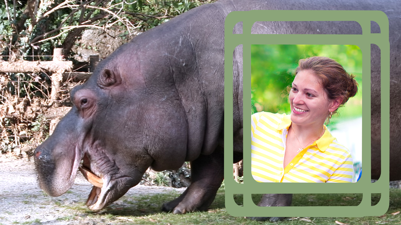 Zoo Animals Photo Frames - App on Amazon Appstore