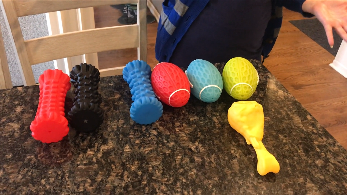 Watch My puppy like to play with its new chew squeaky toys on Amazon Live