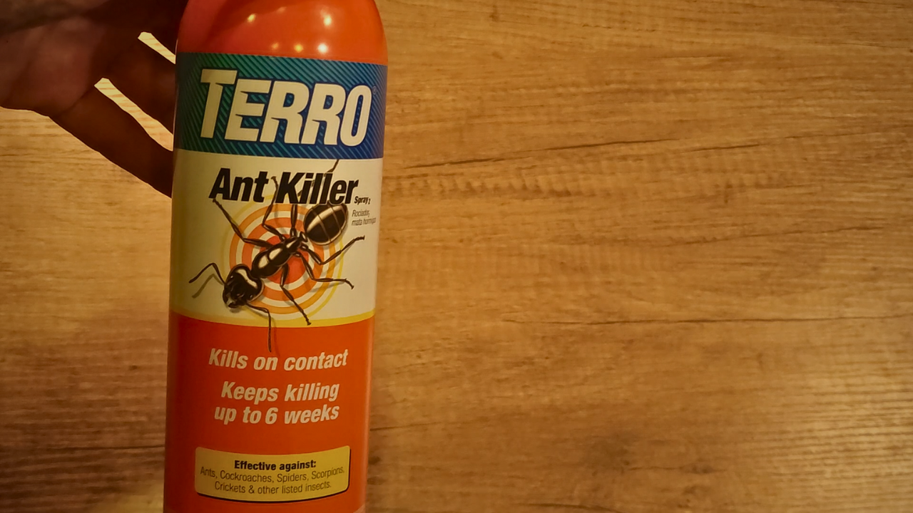 Watch TERRO Indoor & Outdoor Ant Killer Spray Kills Ants Roaches on ...