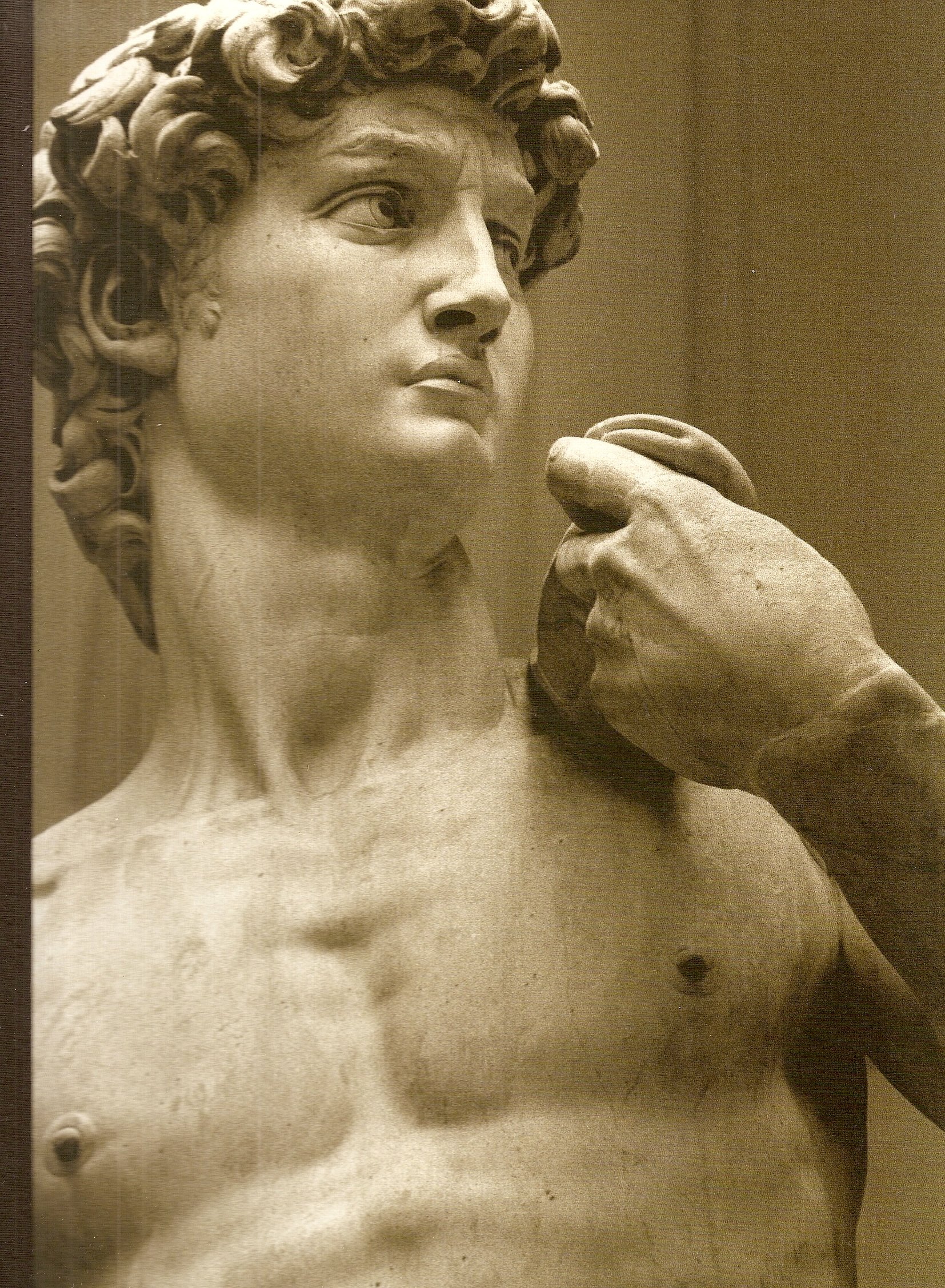 Michelangelo: Hibbard, Howard; Levey, Michael [introduction]: Amazon ...