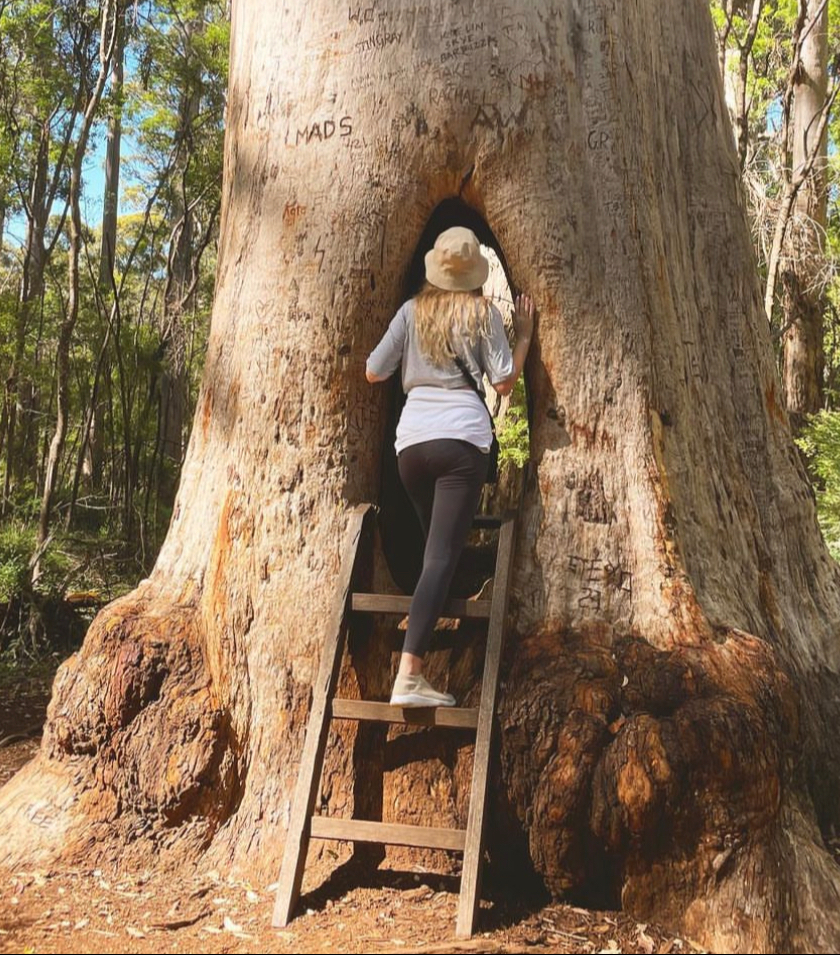 Textbook of Biochemistry With Clinical Correlations: Thomas M. Devlin ...