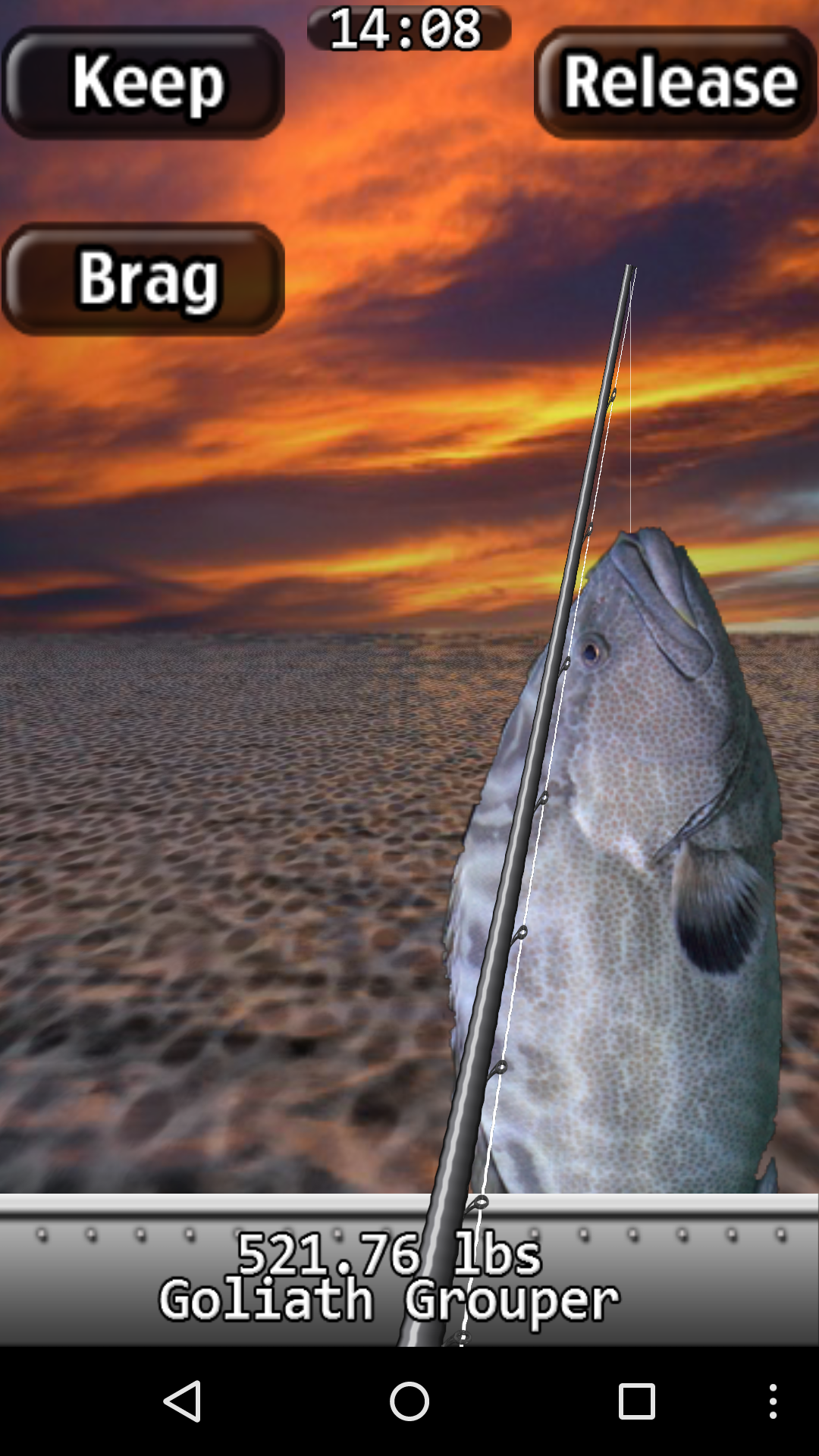 iFishing Saltwater - App on Amazon Appstore