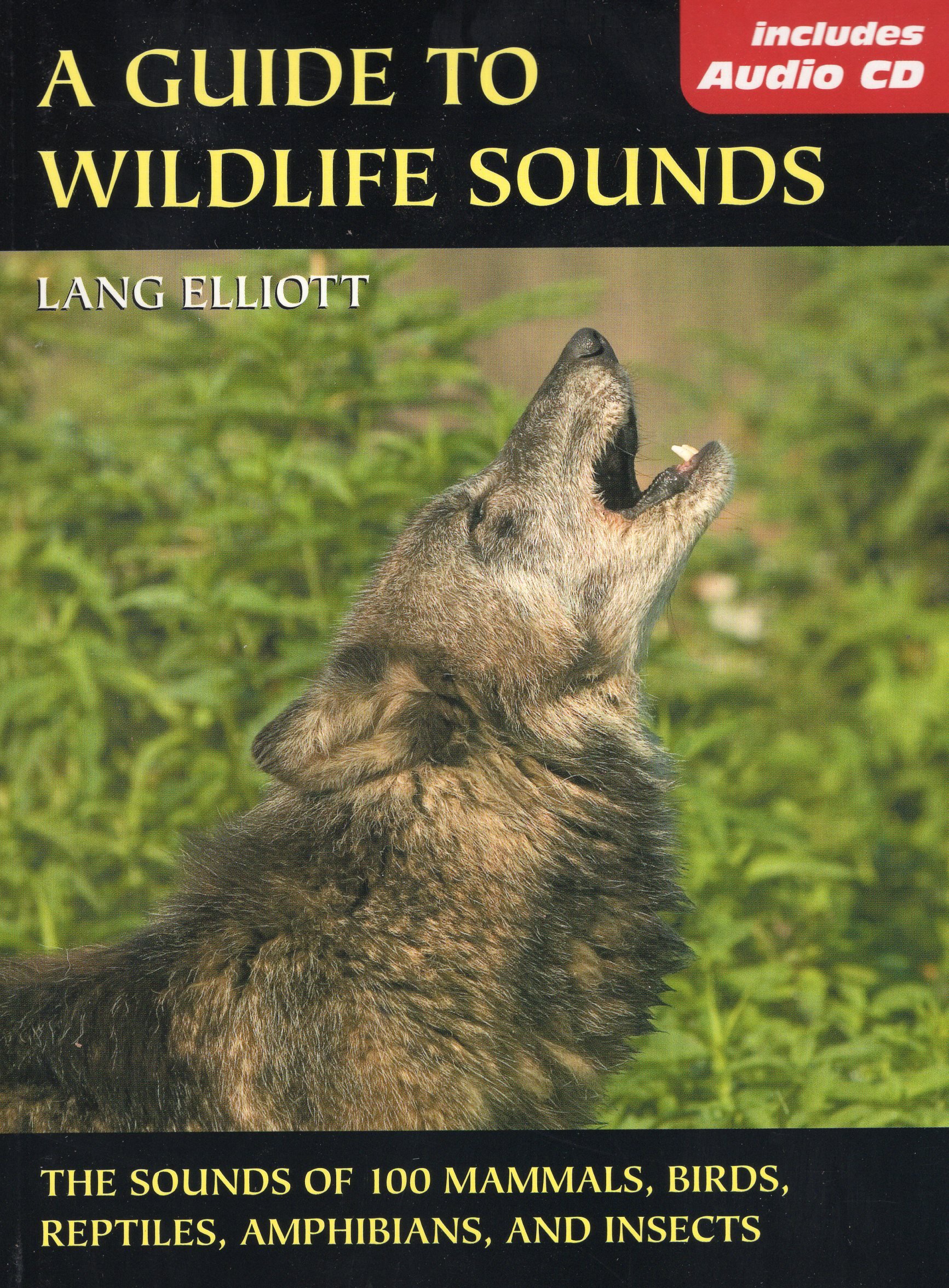 Buy Guide to Wildlife Sounds: The Sounds of 100 Mammals, Birds ...