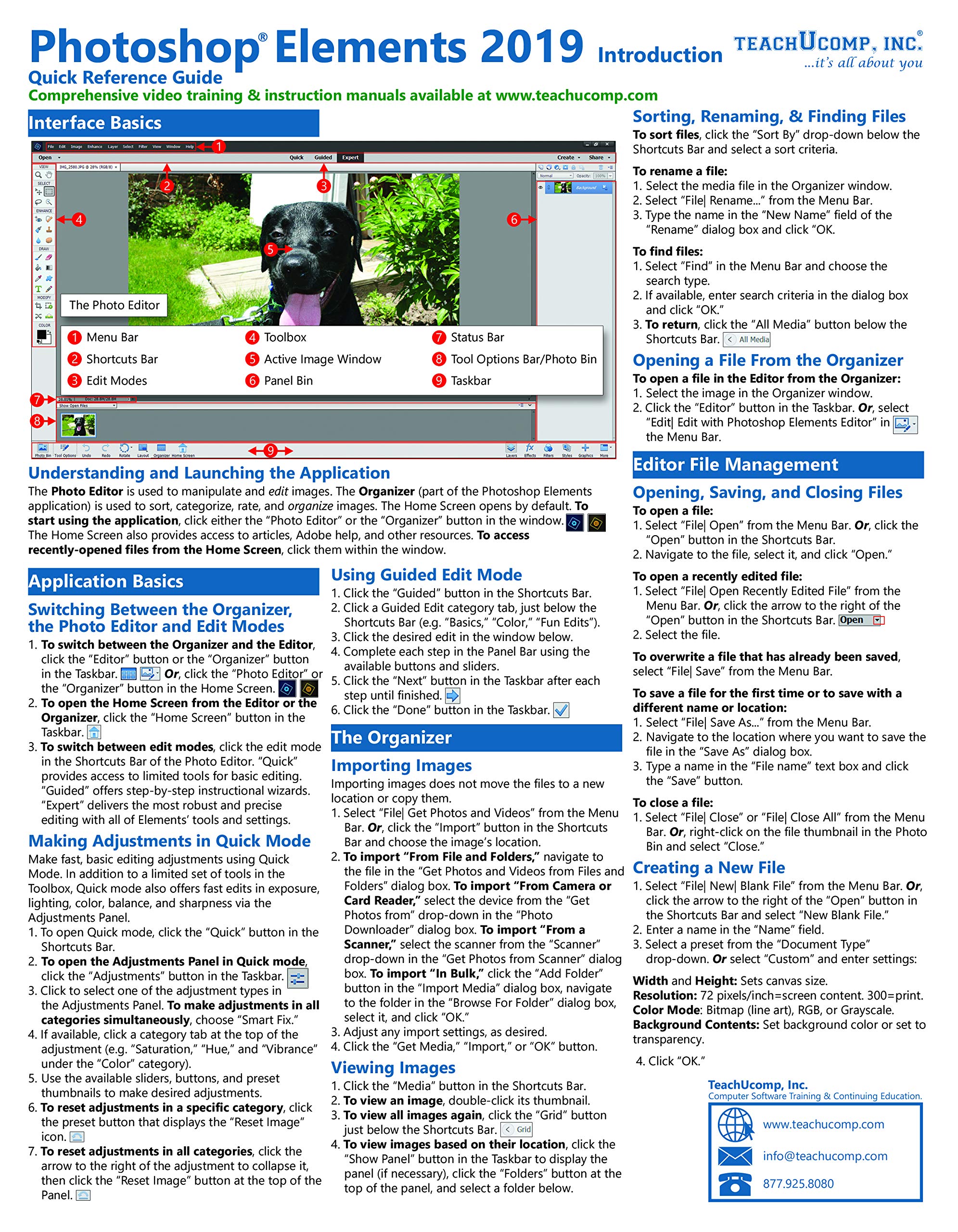 Adobe Photoshop Elements 2019 Introduction Quick Reference Training ...