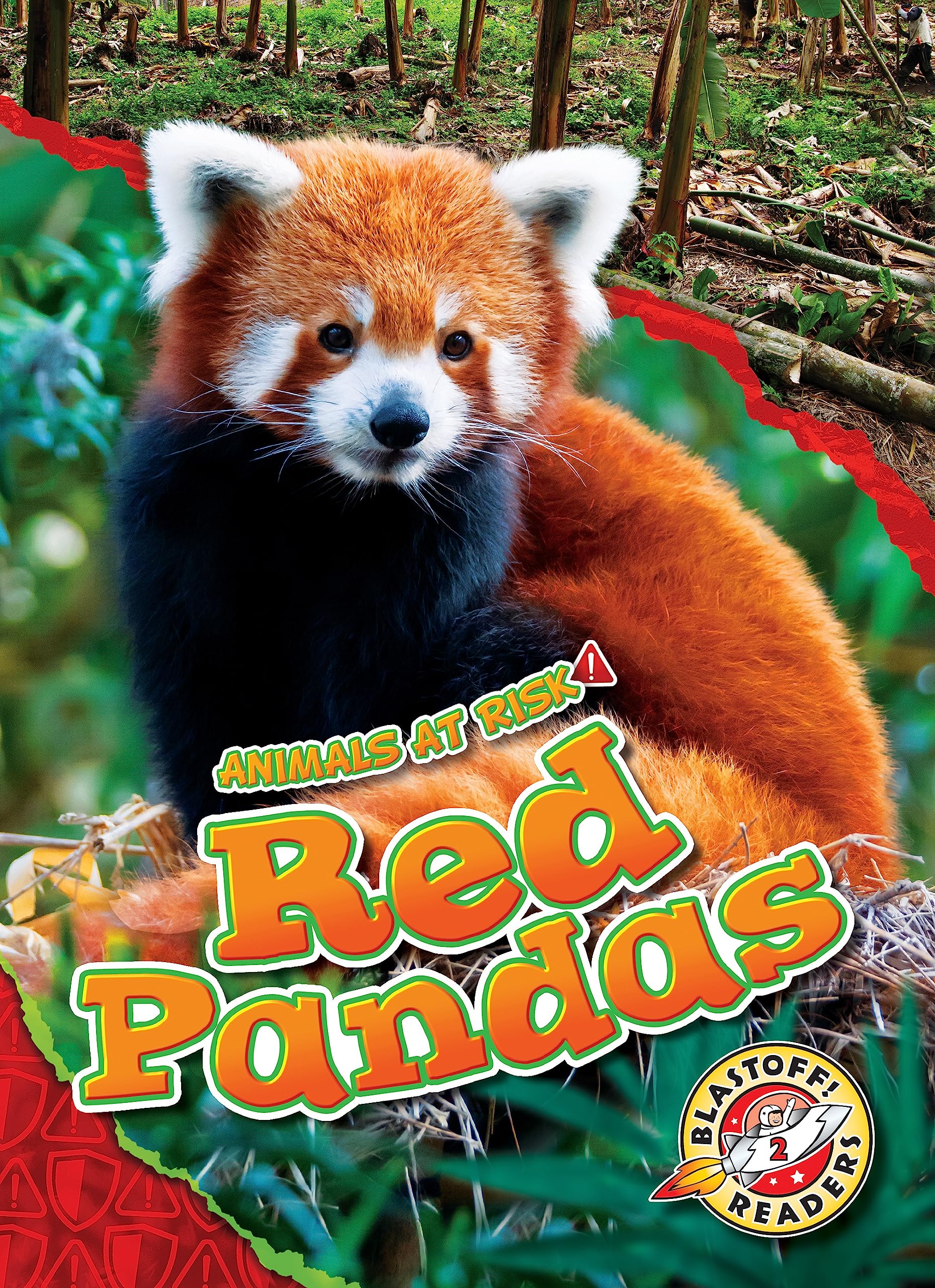 Red Pandas - Animals At Risk, Non-Fiction Reading About Endangered ...