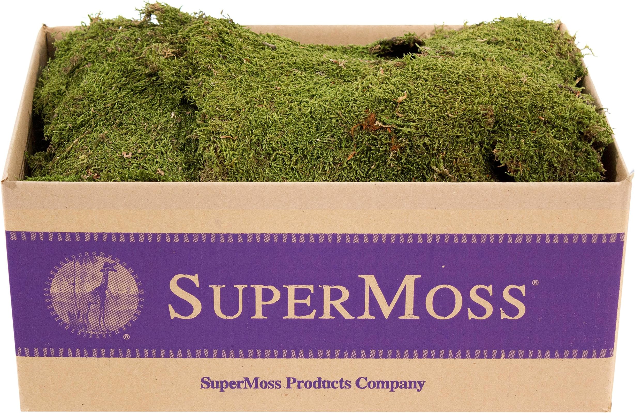 Amazon.com: SuperMoss (21588) Sheet Moss Preserved, Natural, 5 Pounds ...