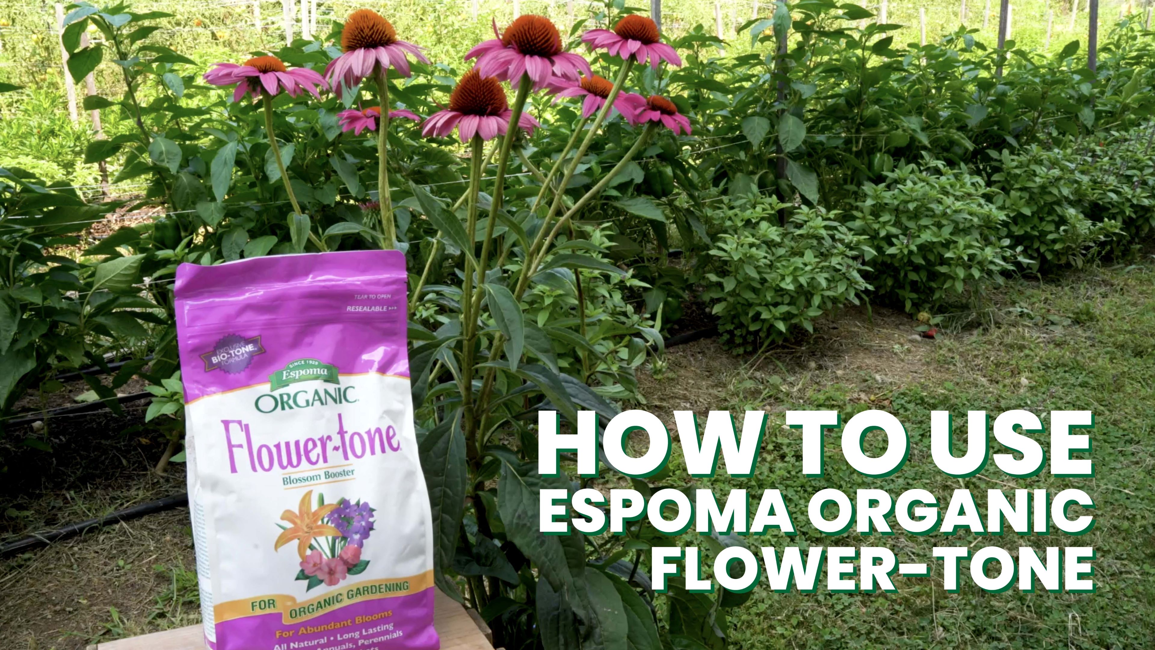 Watch How to use Espoma Organic Flower-tone on Amazon Live