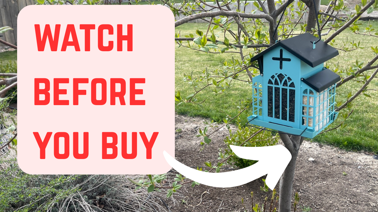Watch Beautifully Crafted Bird Feeder #ad on Amazon Live