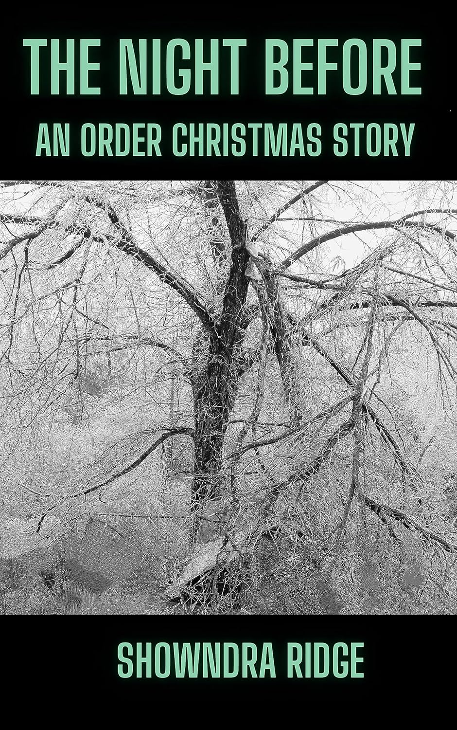 Amazon.com: The Night Before (The Order Book 2) eBook : Ridge, Showndra: Kindle Store