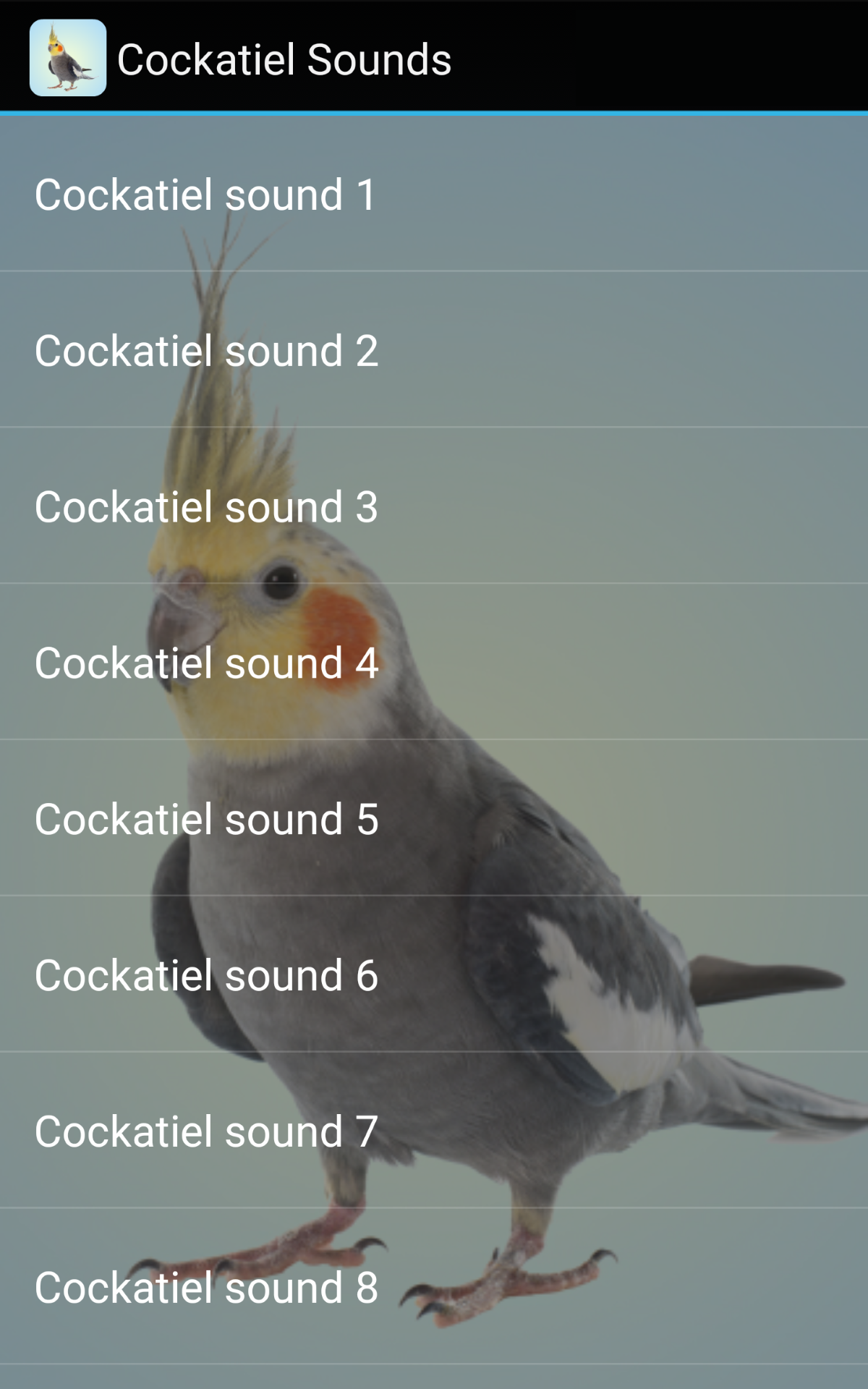 Cockatiel Sounds - App on Amazon Appstore